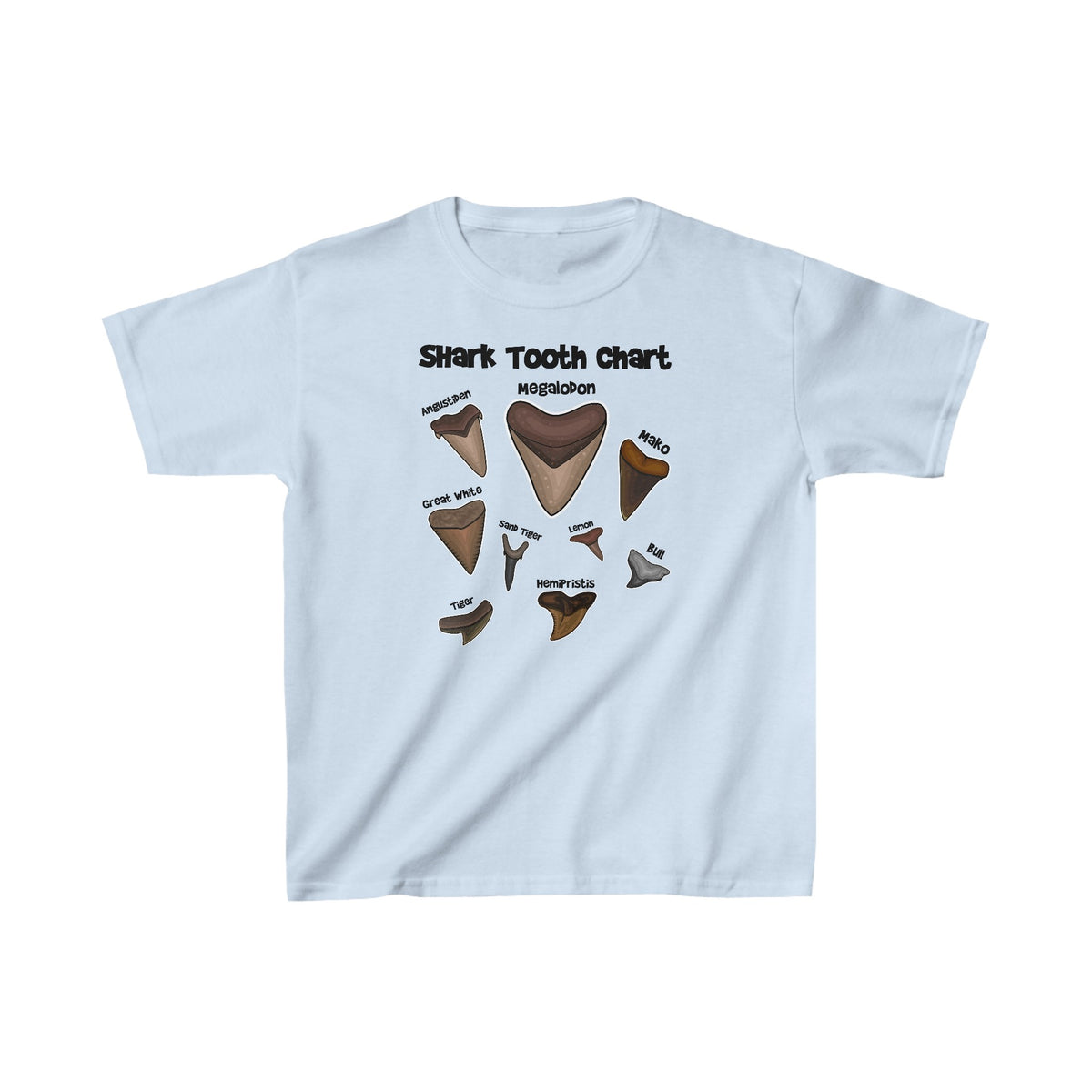 Shark Tooth Chart - Kid's – Fossil Hog