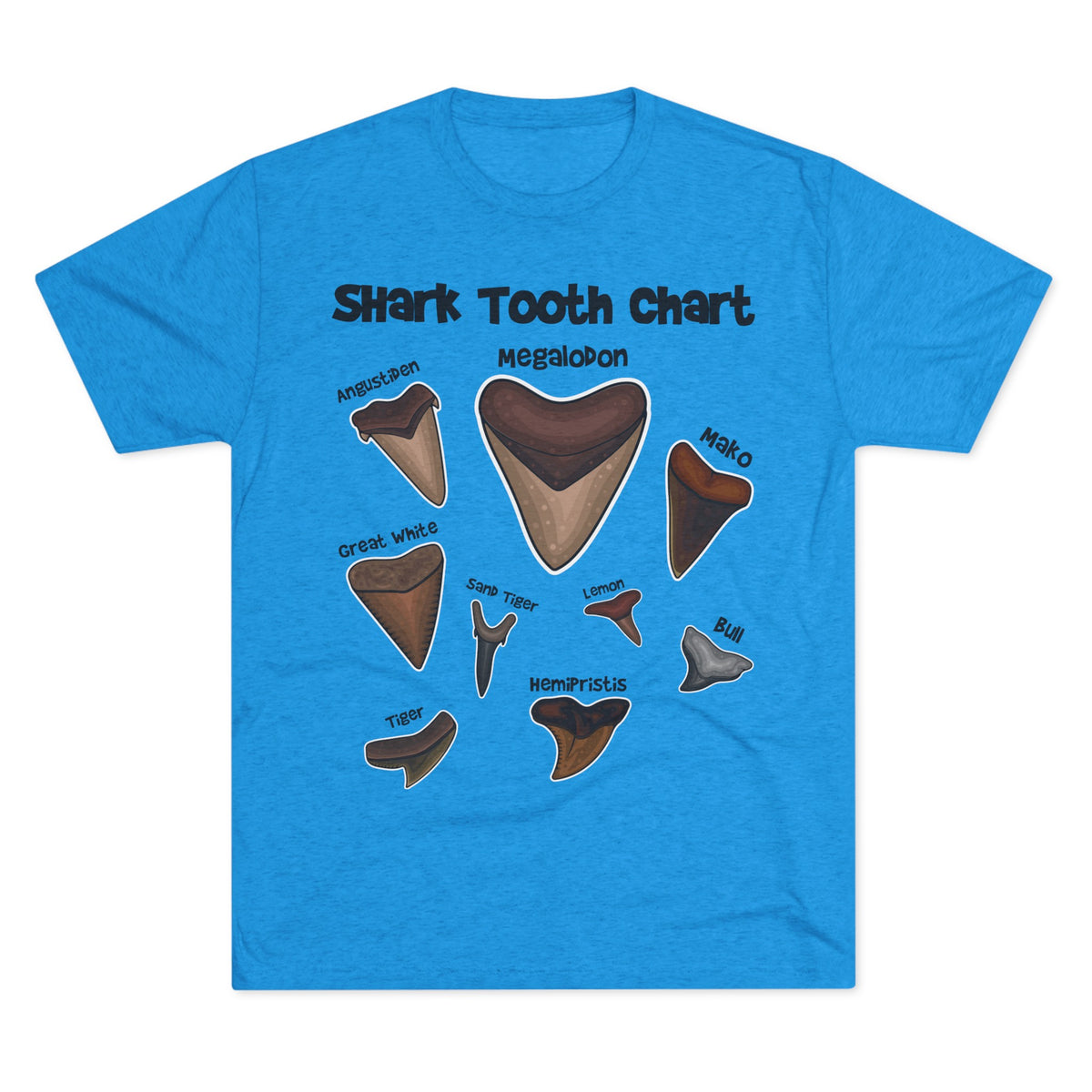 Shark Tooth Chart - Tri-Blend – Fossil Hog
