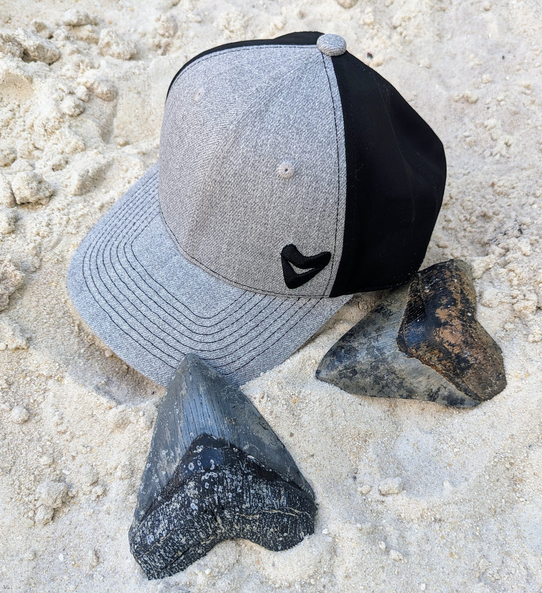 The Megalodon Hat – Fossil Hog